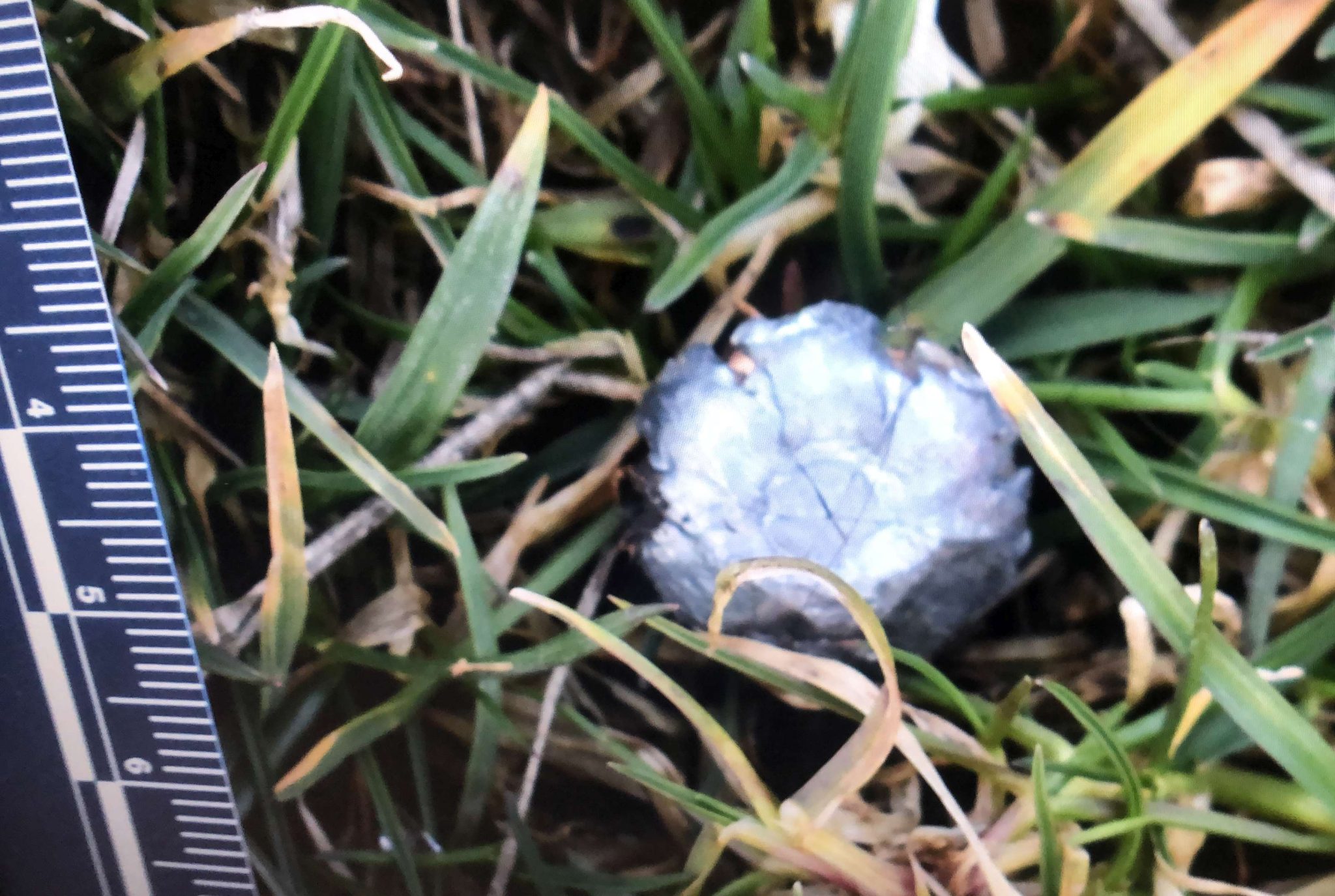 An Alternate Look at Handgun Stopping Power | Active Response Training