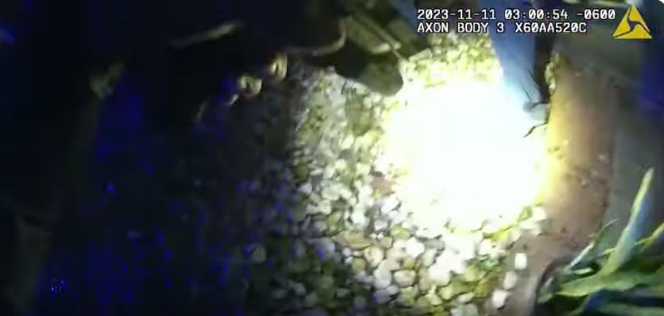 Light Discipline | Active Response Training