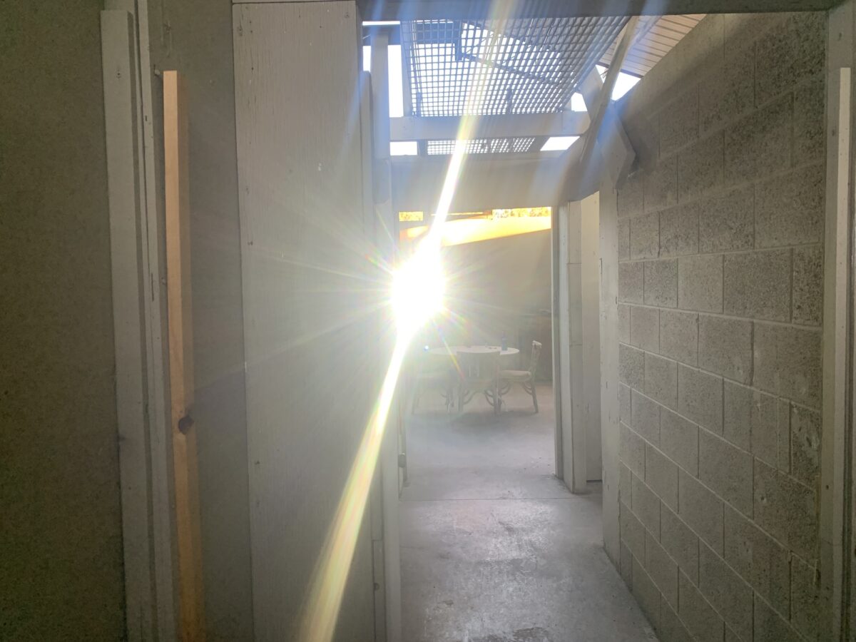 Weekend Knowledge Dump- September 27, 2024 | Active Response Training